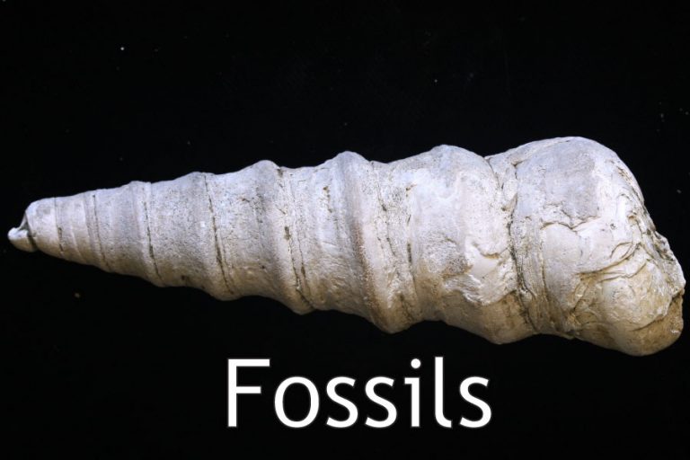 Minerals, Rocks and Fossils - The Geology of Virginia